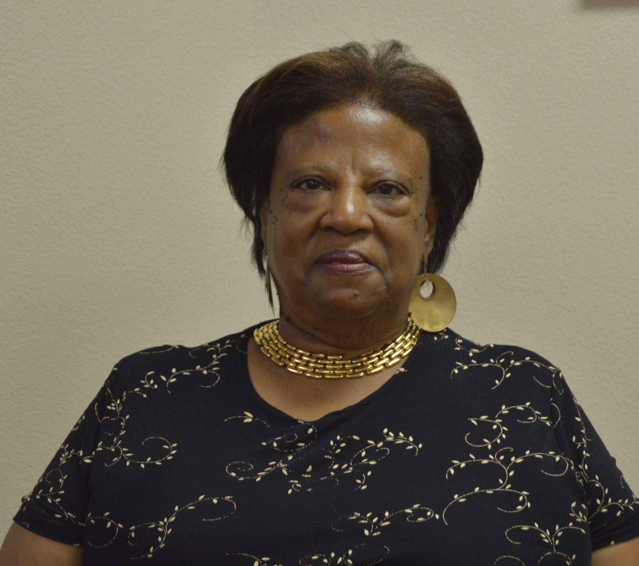 Milton community center expansion, lake restoration among Johnson's ...