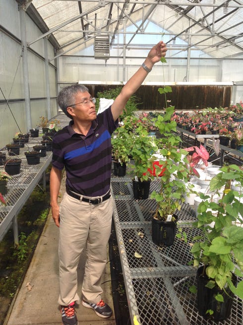 This just might revolutionize Florida's micro-brewing industry ...