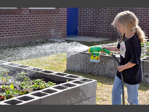 Riverside students start school campus vegetable garden | Crestview ...