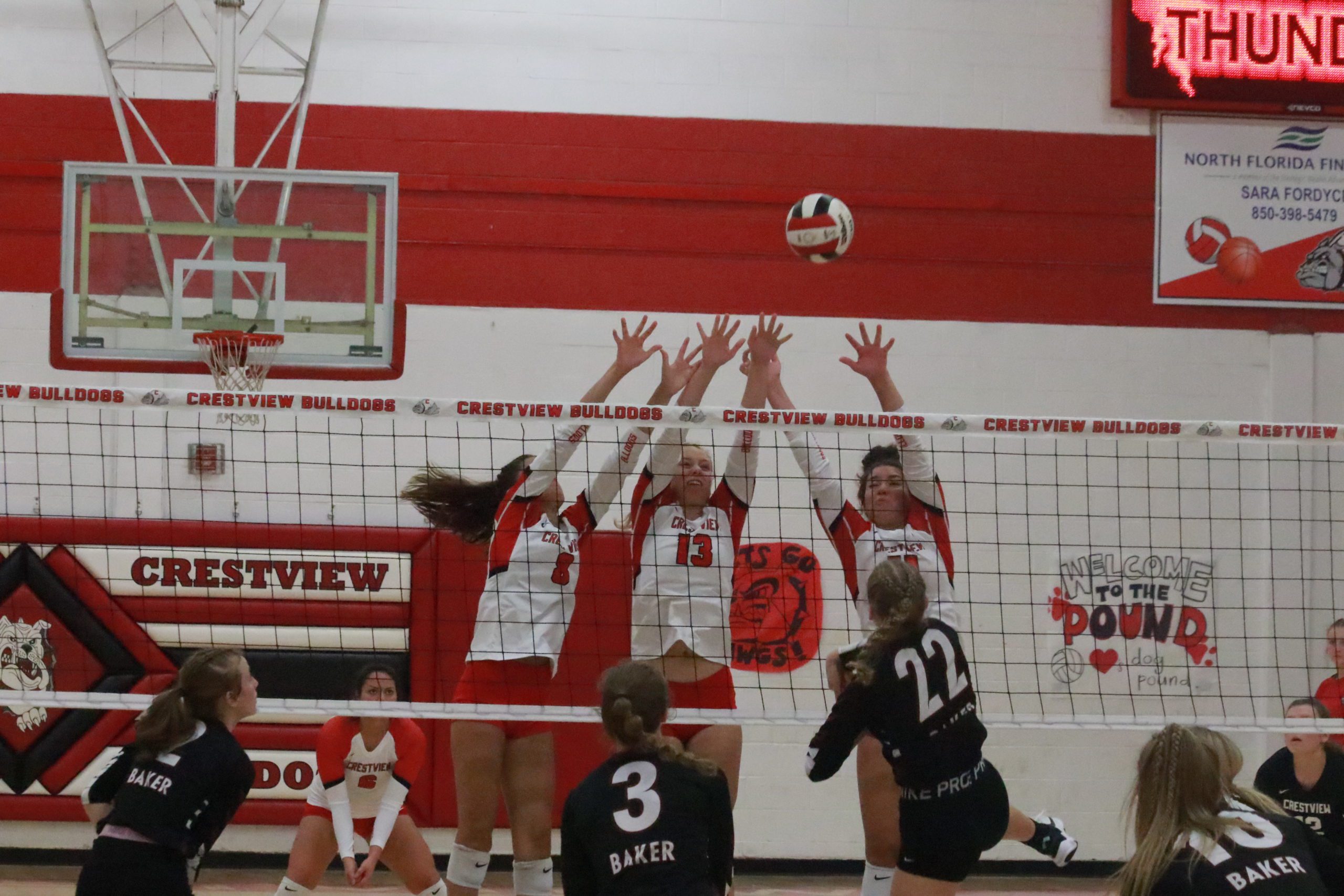 Bulldogs shine in volleyball win over Gators | Crestview News Bulletin