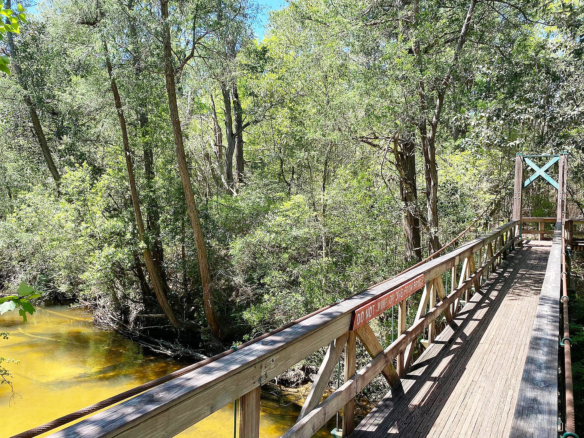 A woodland journey | Crestview News Bulletin