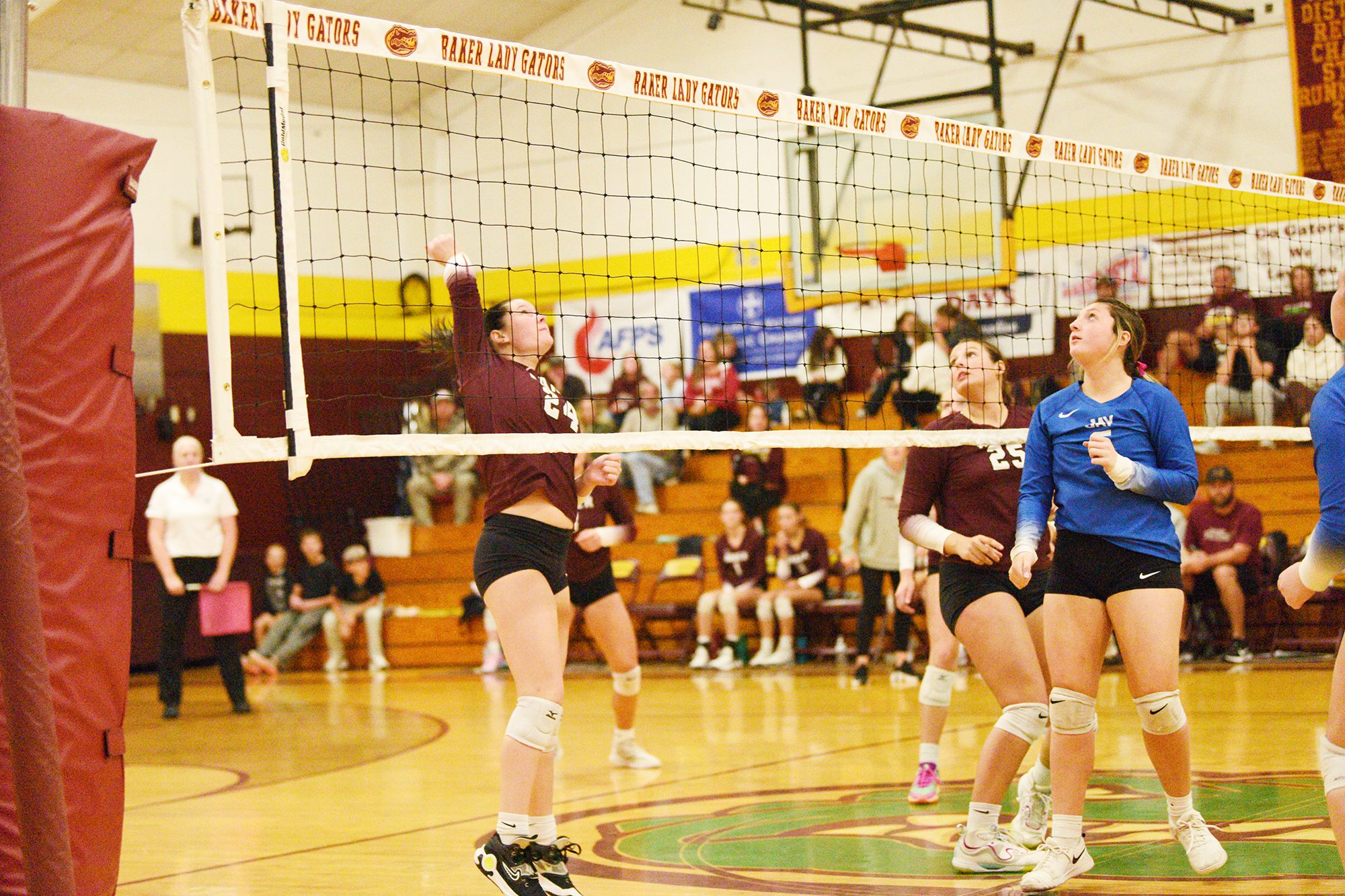 Moving Up: Moss grows in first varsity season with Gator volleyball ...