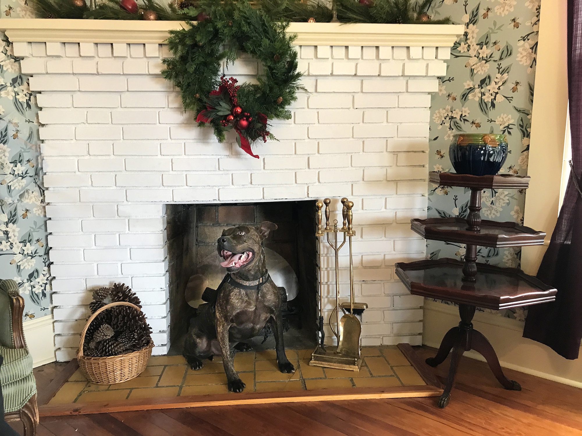 The Spirit of Christmas descends on the Bush House | Crestview News ...