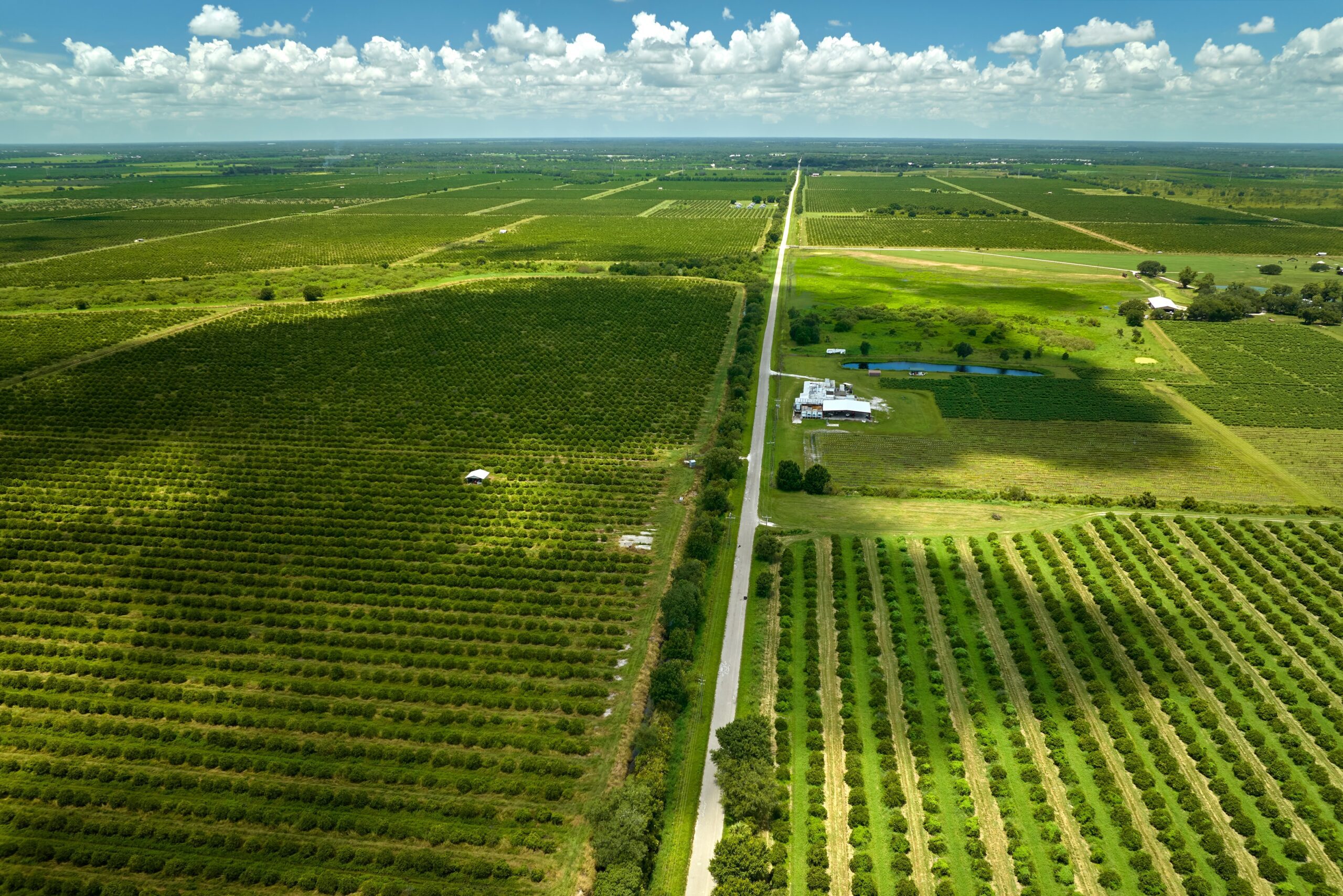 Senate unveils 'rural renaissance' plan | Crestview News Bulletin